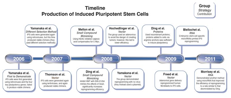 Timeline of Key iPSC Events - BIOINFORMANT